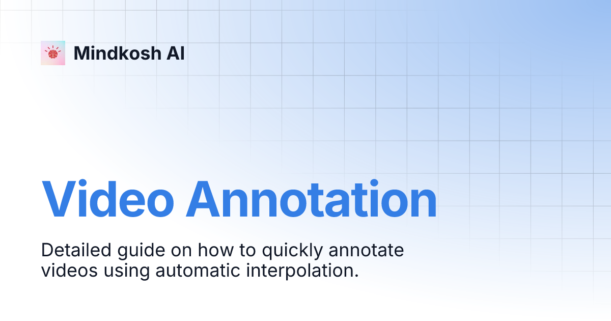 Video Annotation | Mindkosh AI